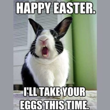 50+ Funny Easter Bunny Memes 2024 To Make Anyone Hop with Laughter