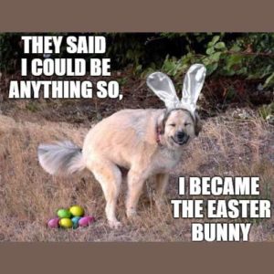 50+ Funny Easter Bunny Memes 2024 To Make Anyone Hop with Laughter