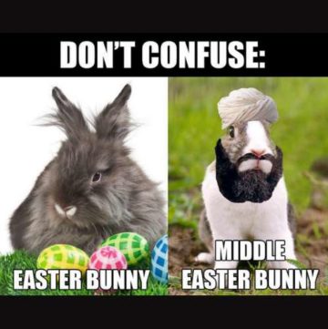 50+ Funny Easter Bunny Memes 2024 To Make Anyone Hop with Laughter