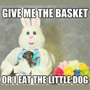 50+ Funny Easter Bunny Memes 2024 To Make Anyone Hop with Laughter