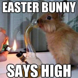 50+ Funny Easter Bunny Memes 2024 To Make Anyone Hop with Laughter