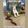 50+ Funny Easter Bunny Memes To Make Anyone Hop with Laughter