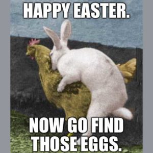 40+ Funny Easter Egg Memes to Spill Funny Vibes Everywhere