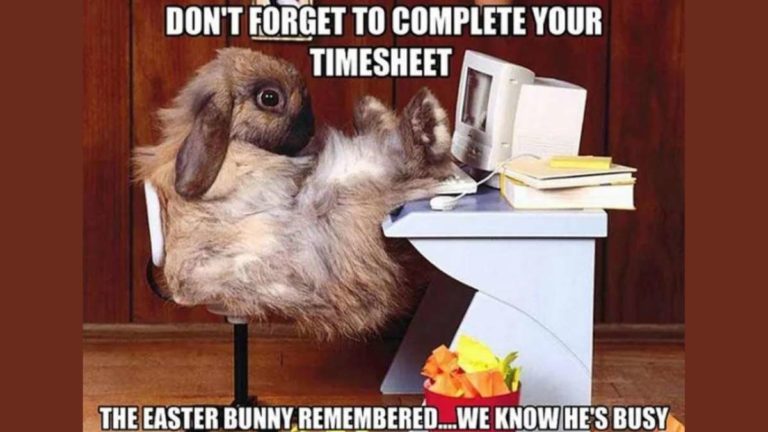 50+ Funny Easter Bunny Memes To Make Anyone Hop with Laughter